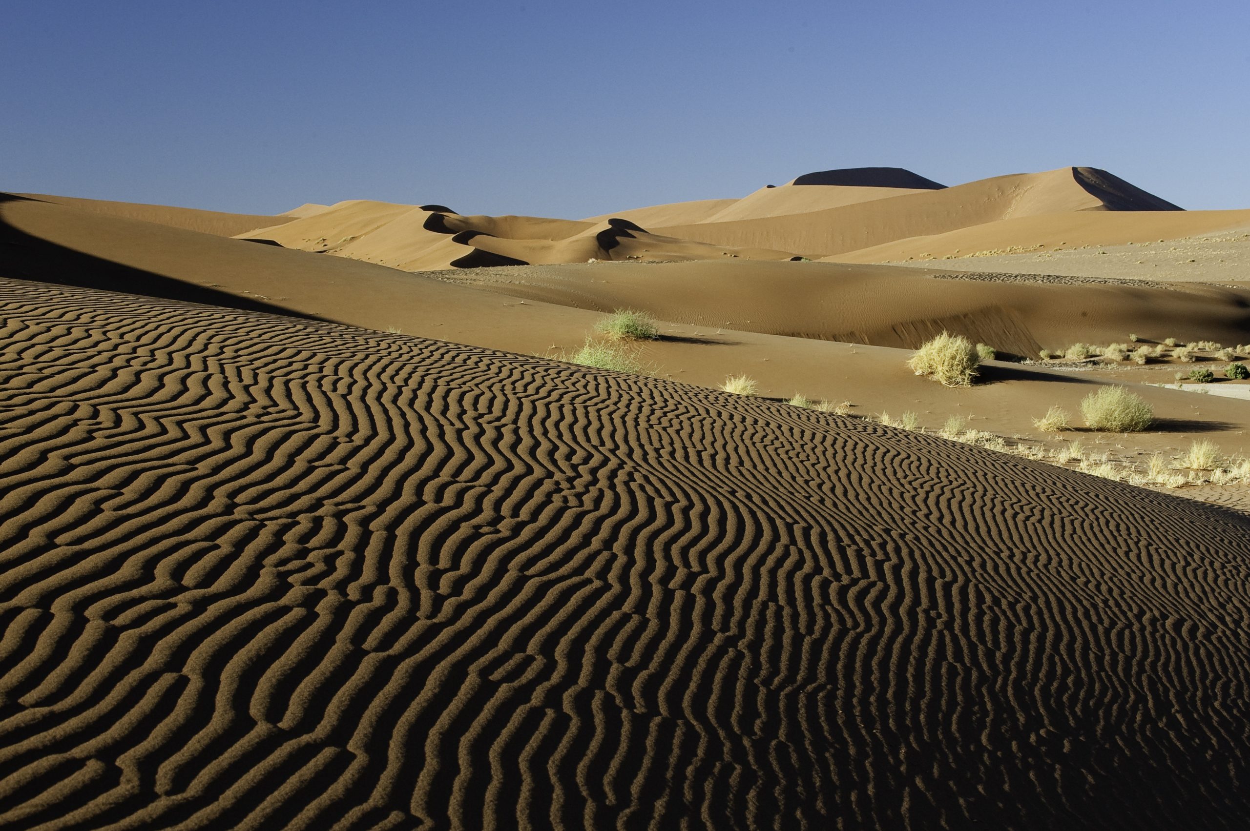 Seif Dunes In Sahara Desert
