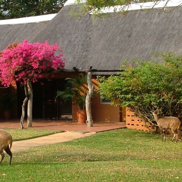 malamala-sable-camp.jpg
